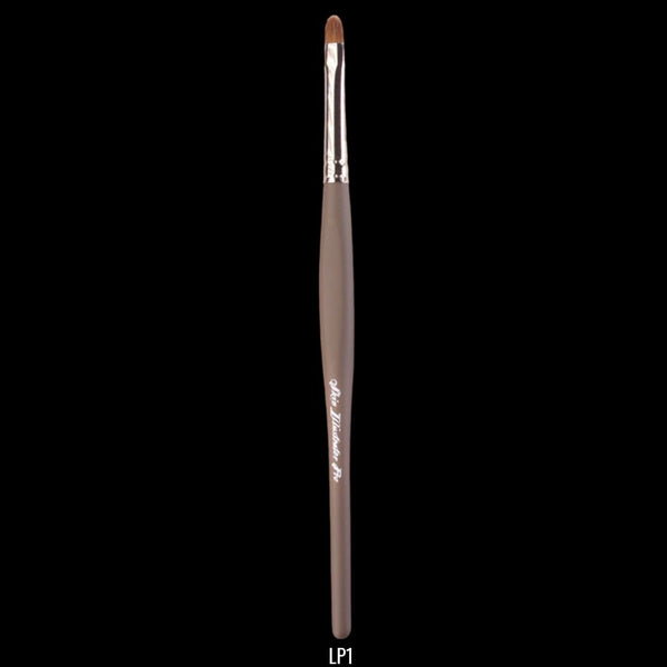 Pro Brushes - LP – PPI Premiere Products Inc.